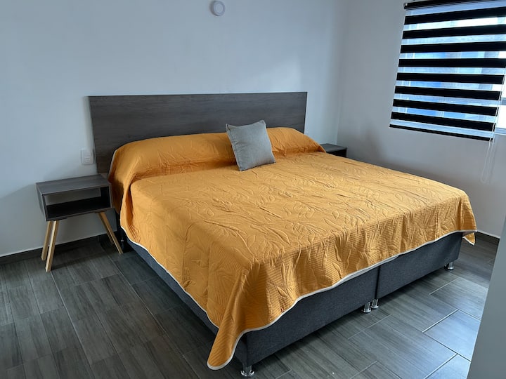 Suite A 1 Cuadra De La Feria De San Marcos - Mexico