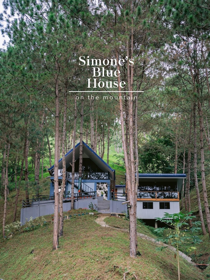 Stillness Among The Pines - Malaybalay
