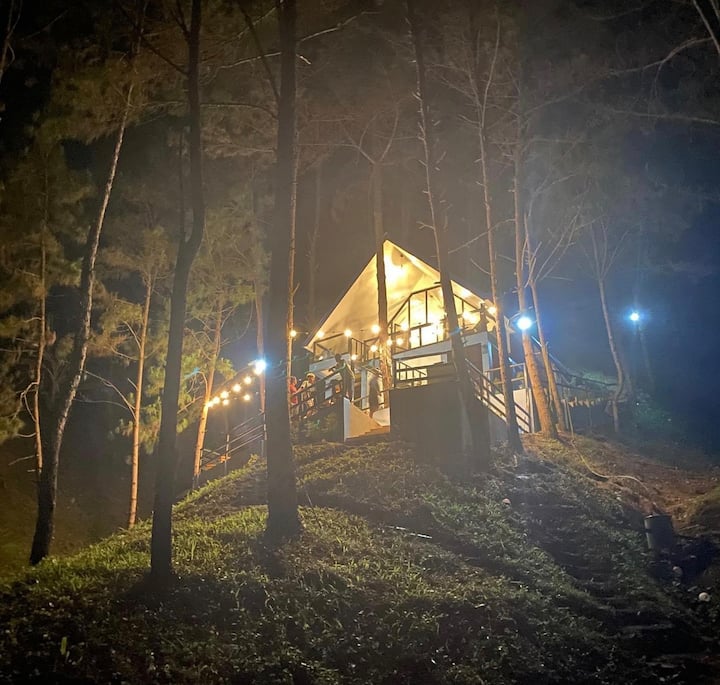 Stillness Among The Pines - Malaybalay