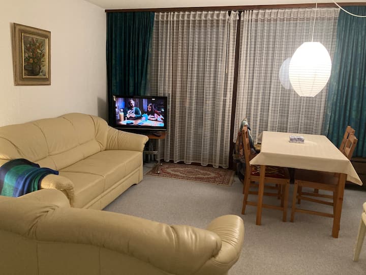 Kleine, Herzige 1-zimmerwohnung In Acletta - Disentis