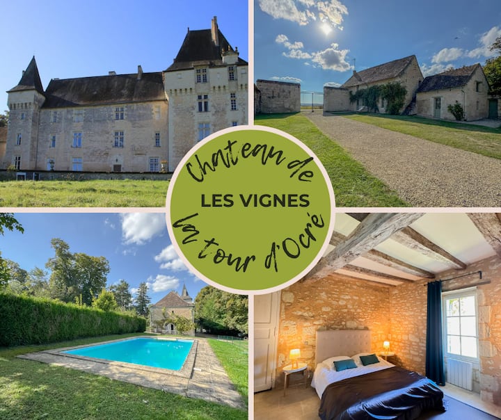 Le Logis Des Vignes Du Château De La Tour D'oyré - Châtellerault