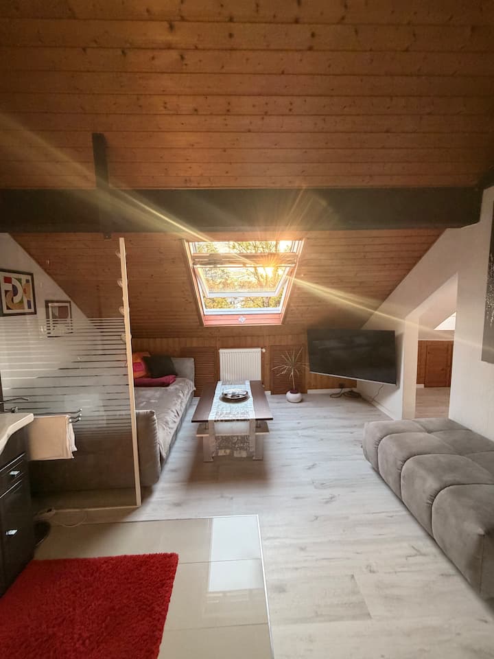 Sentez-vous Comme Chez Vous Dans Un Appartement Confortable Près De La Ville&nbsp;! - Sarrebruck