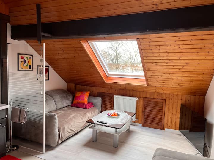 Feel Like Home In A Cozy Apartment Near The City! - Saarbrücken