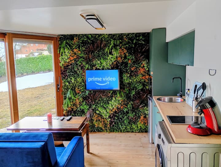 Jungle Room Les Carroz - Flaine