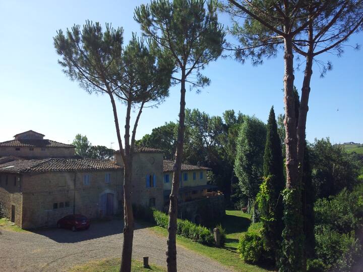 Duca - San Gimignano