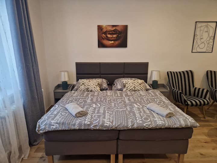 ČErná Růže  -  Apartmán  2 - Pilzno