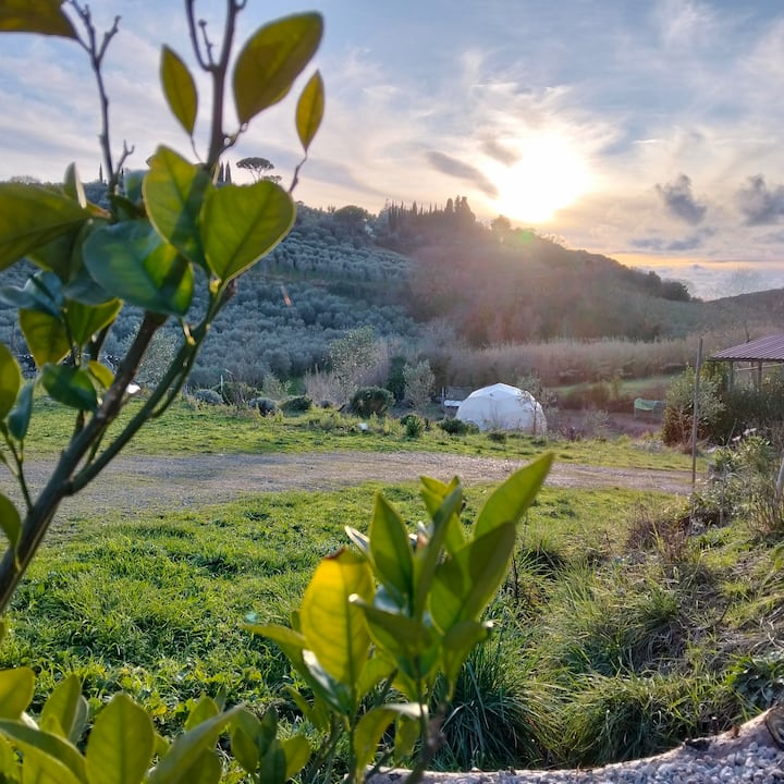 Casa Delle Fate In Natura - Bibbona