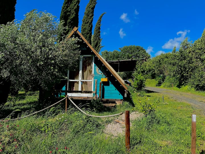 Casa Delle Fate In Natura - Cecina