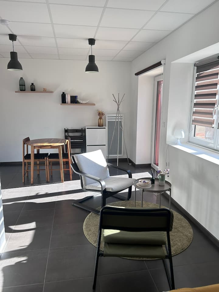 Chez Ambre Et Lulu - Appart Centre Ville Piscine - Millau