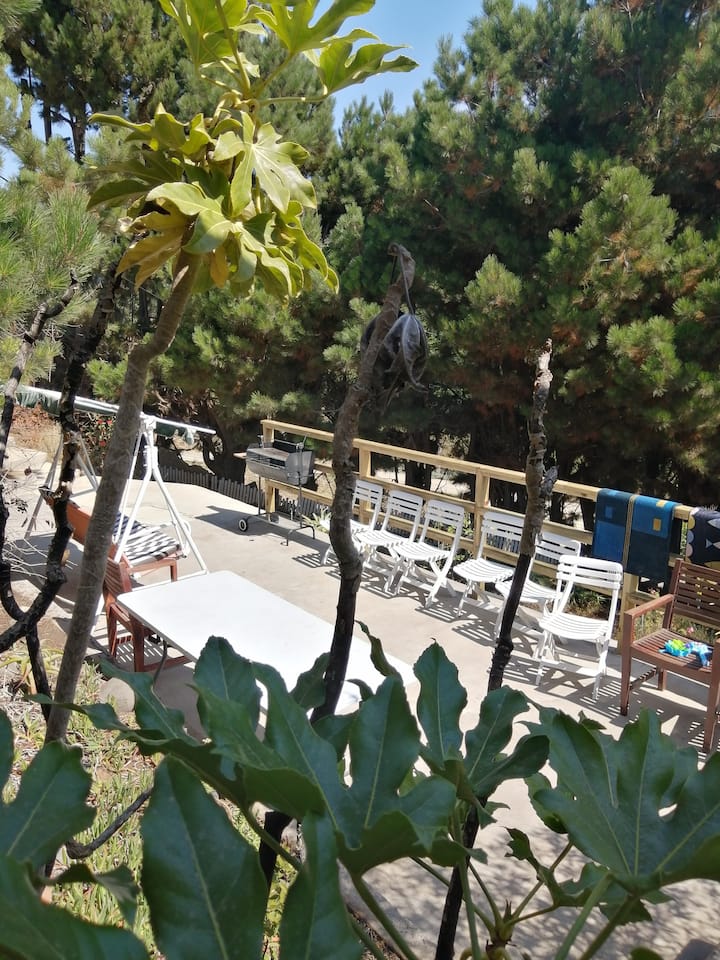 Linda Casa Aislada Con Jardín - Algarrobo
