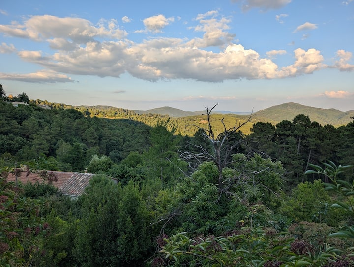 Gîte Avec Vue En Cévennes Dogfriendly - Le Martinet