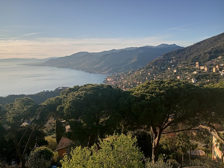 Golfo Paradiso - Camogli