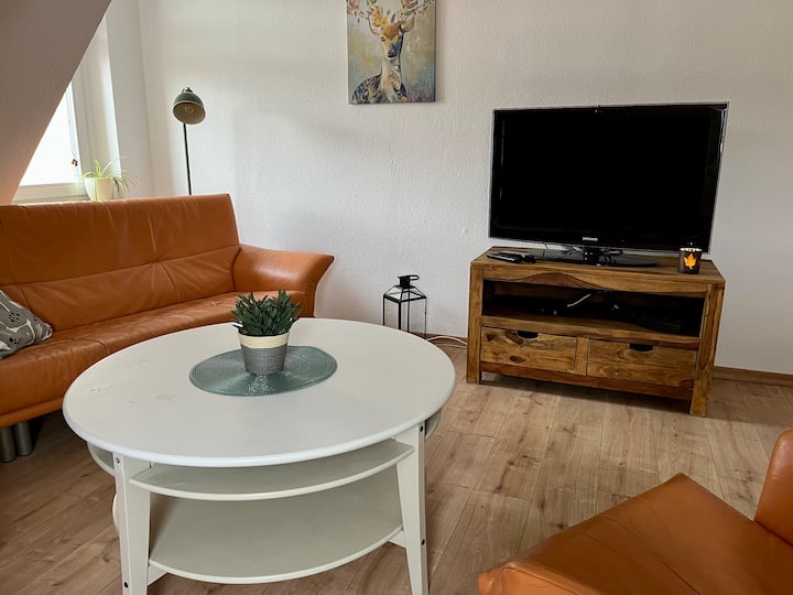 3 Room Apartment For 5 Persons - Dresde