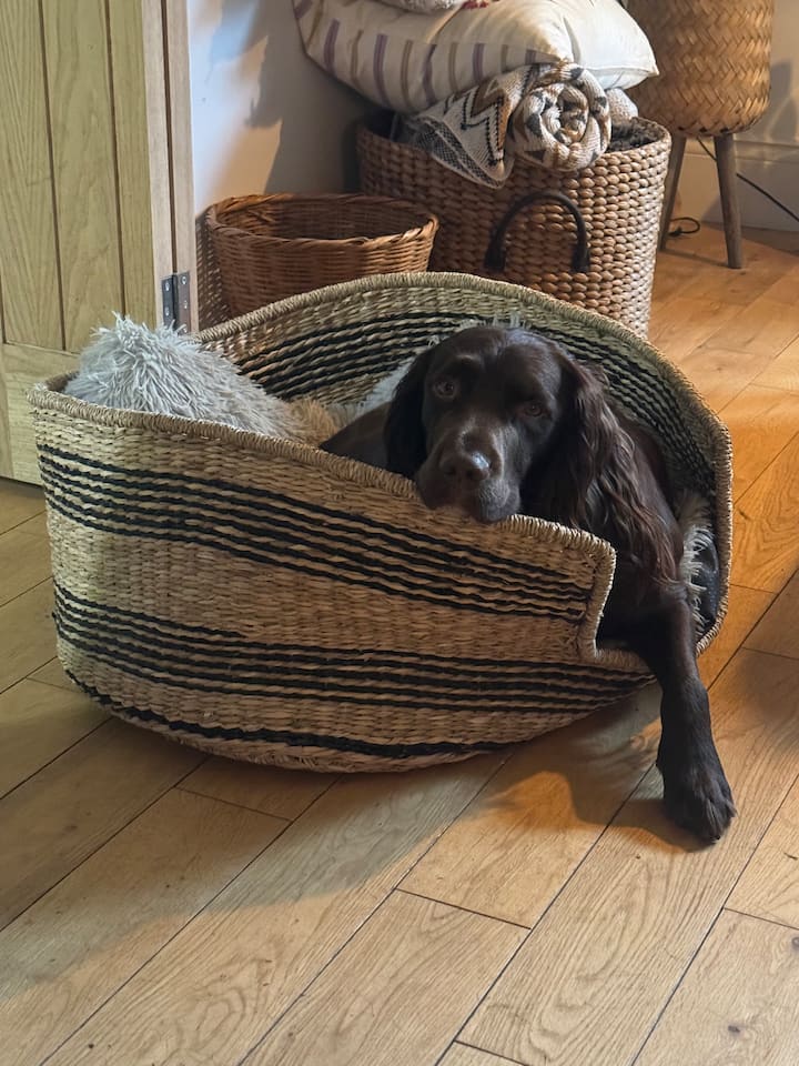 Room In Village Near Stamford - Stamford