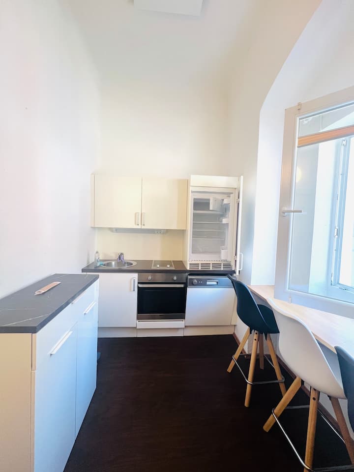 2 Zi Apartment, Parkplatz, Nähe Schloss Eggenberg - Graz