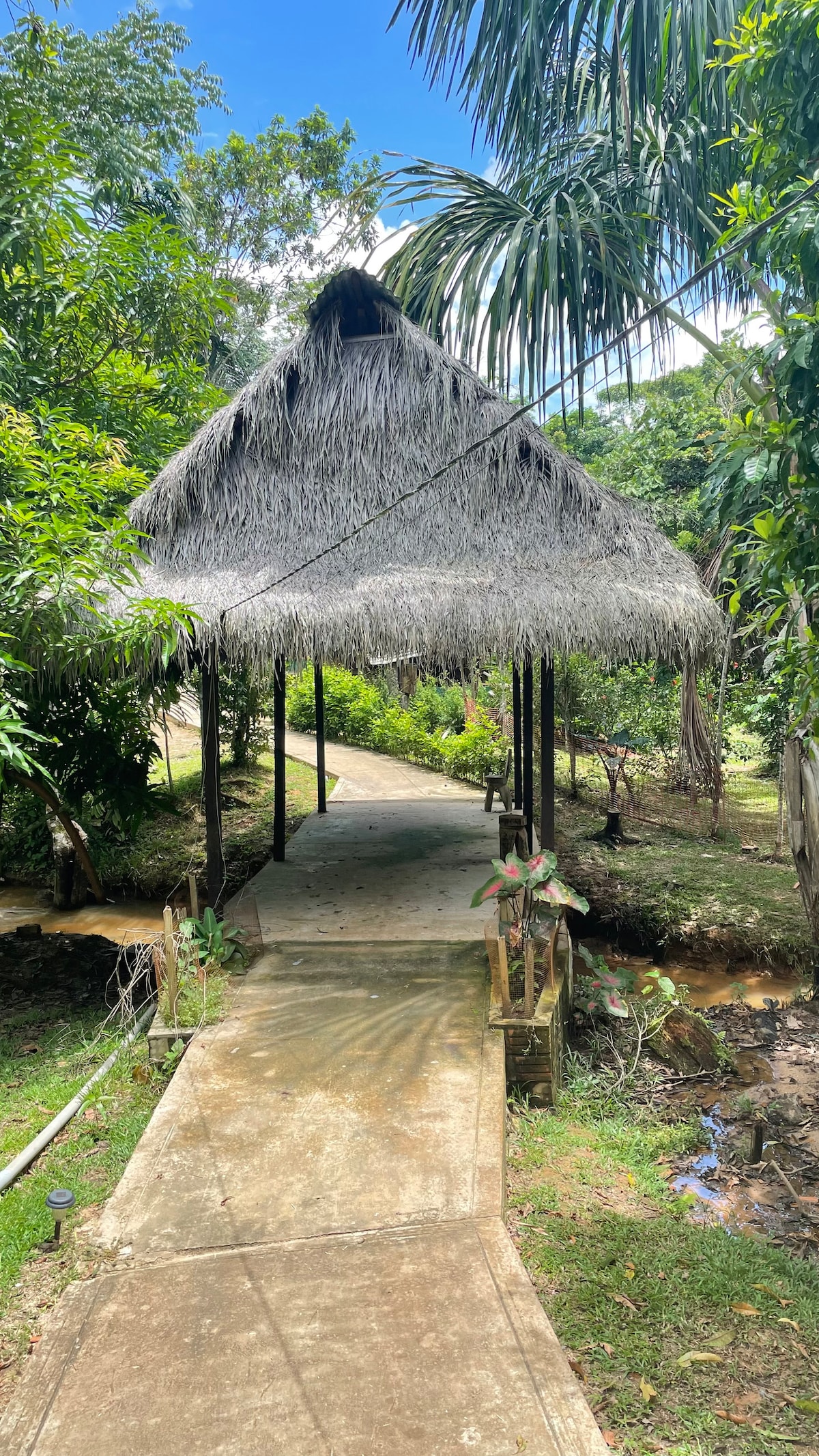 Bungalow in casa di campagna - Case nella roccia in affitto a Iquitos ...