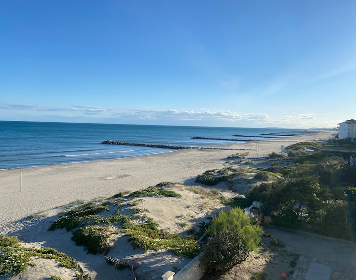 Grand Appartement Accès Direct Plage - Mauguio