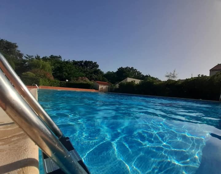 15: Le Cosy: Clim, Park, Piscine! - Argelès-sur-Mer