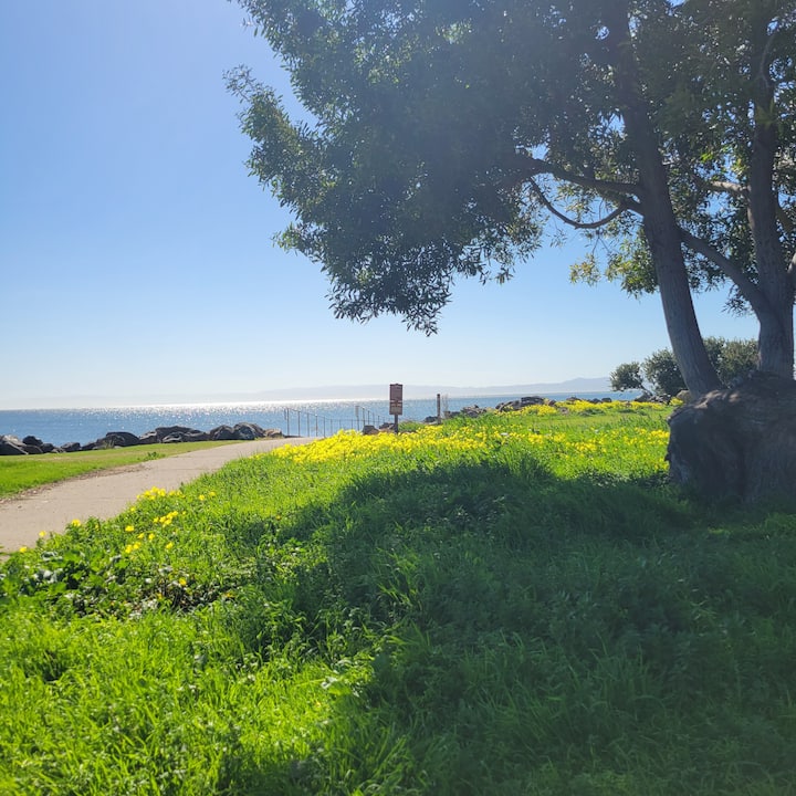 Ferry To San Francisco/king Bed/fenced Yard - Alameda