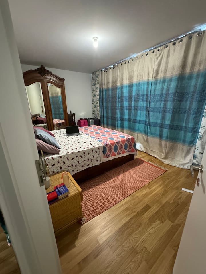Spacious Apartment - Geneva