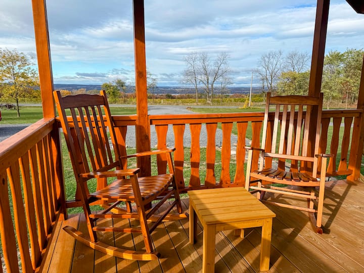 Finger Lakes Cabin #1, Vineyards, Sunsets & More! - Cayuga Lake, NY