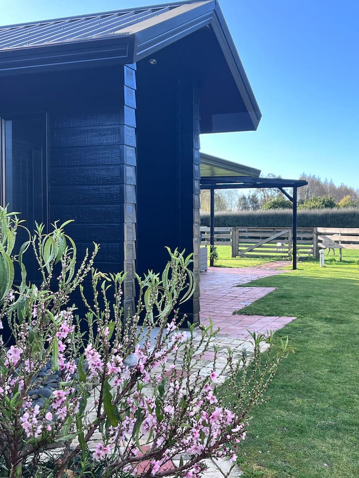 Cambridge Nz
 3 Brm Home - 