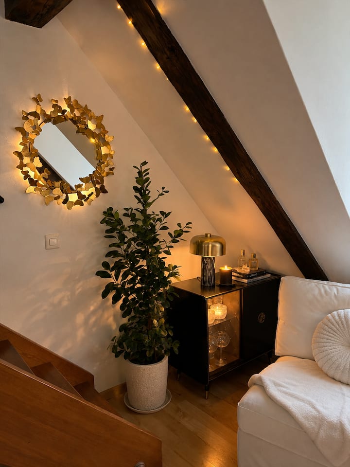 Charmante. Maisonette-wohnung Altstadt - Rapperswil-Jona
