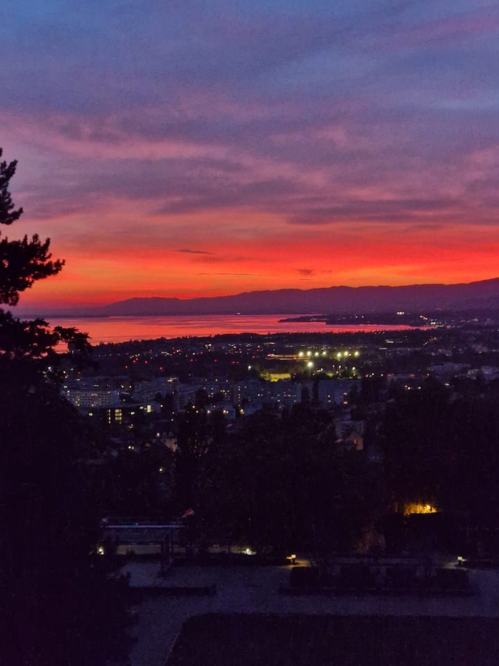 Chambre Individuelle - Lausanne