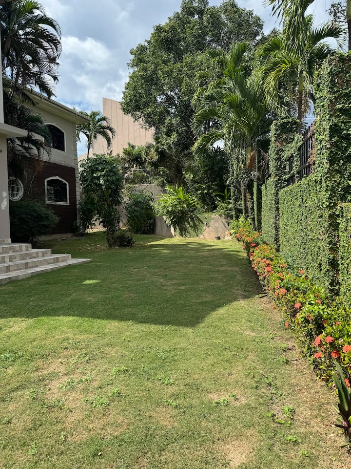 Xxya Modern Art Villa - Kingston