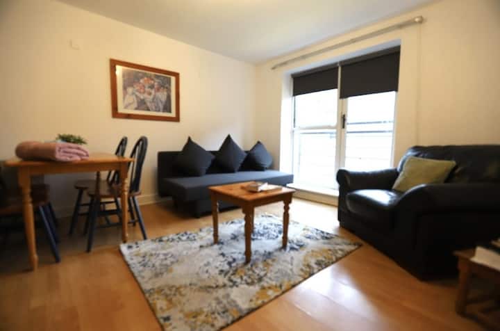 Central 2 Bed Condo - Dublin