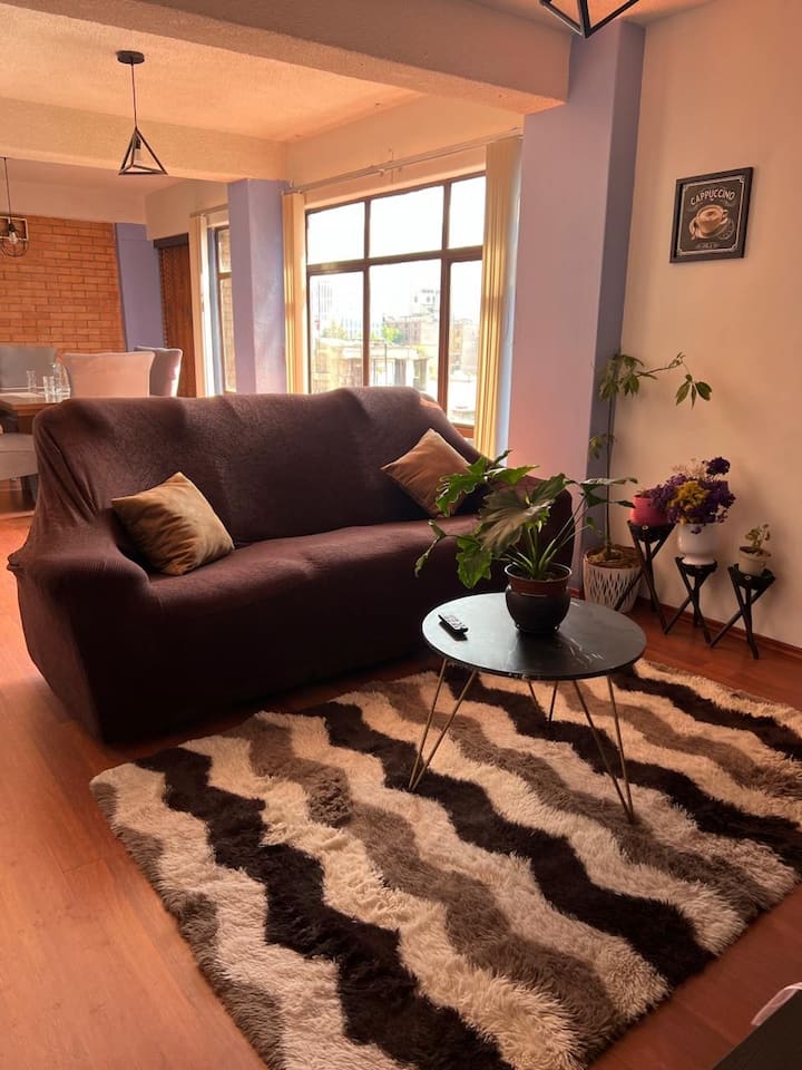 Complete, Spacious And Central Apartment. - Mexico City