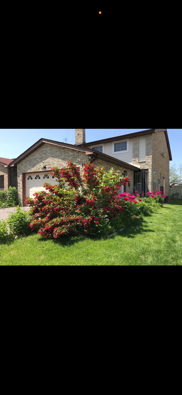 3 Bed Room Georges House - Markham