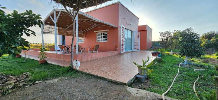Maison Dans Une Ferme - Maroc