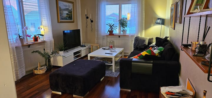 Charmigt 50-tals Hus - Gällivare
