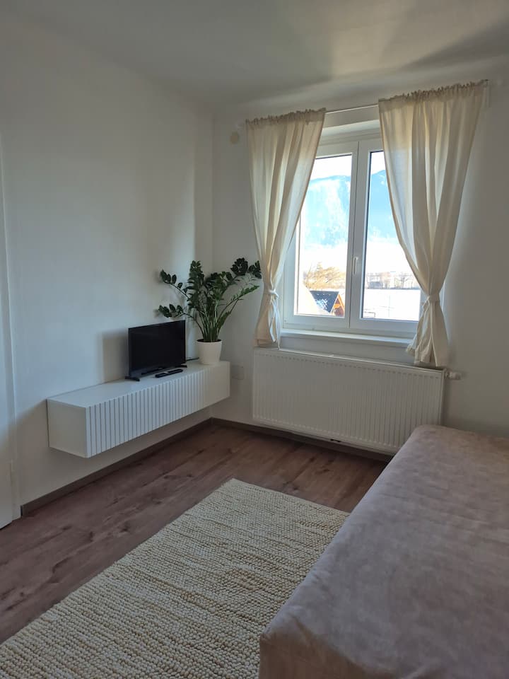 Dg-apartment 45m2, Bis 4 Personen, Tierfreundlich - Österreich