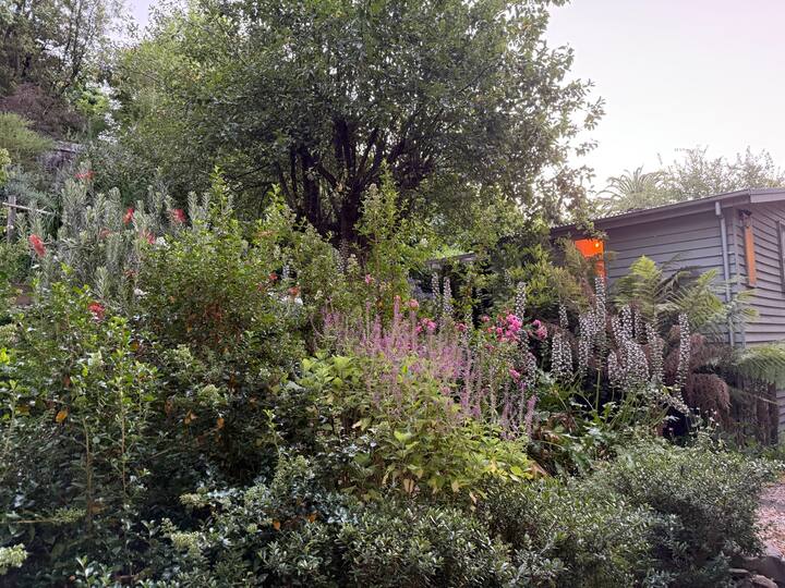 3 Cute Cottages - 10 People - Daylesford