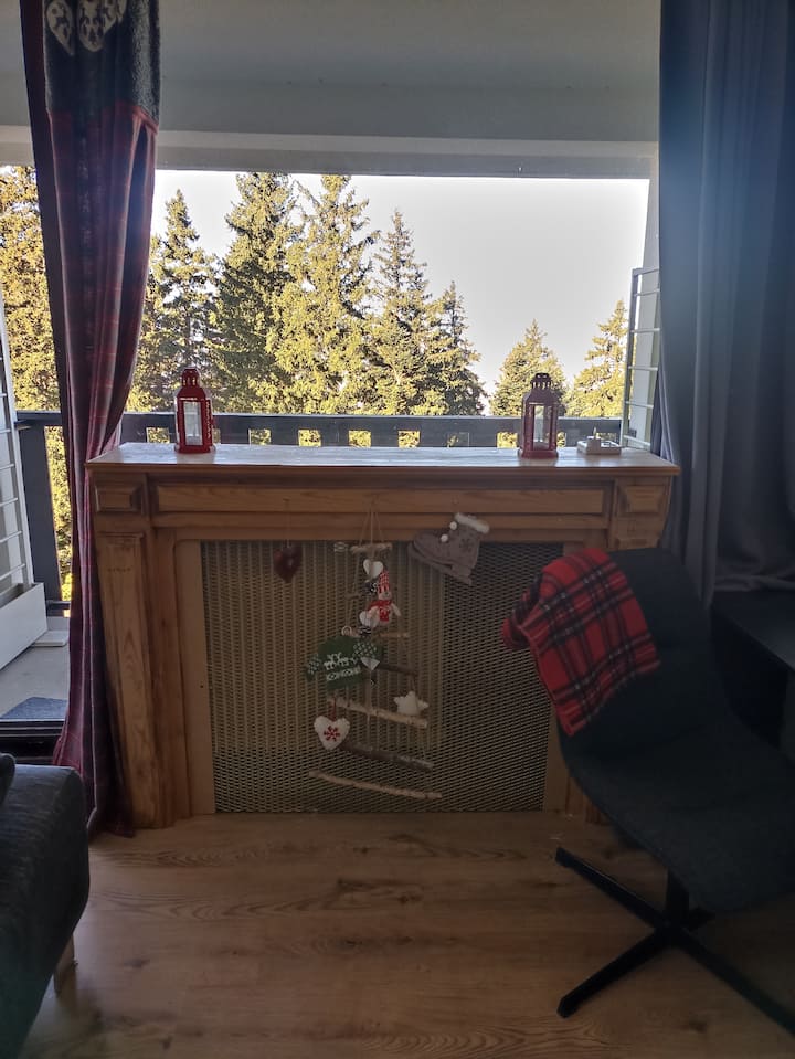 Studio Au Coeur De La Station - Chamrousse