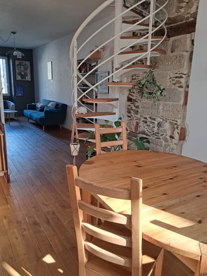 Au Coeur De Nantes, Face Au Château - Nantes