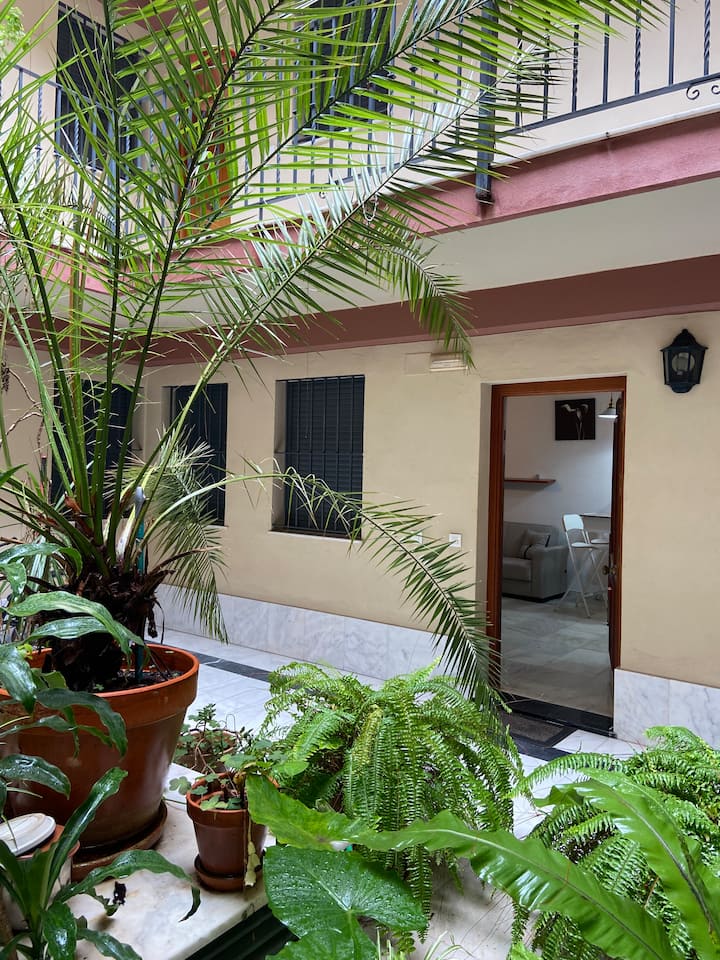 Apto. En El Centro De Sevilla - Séville