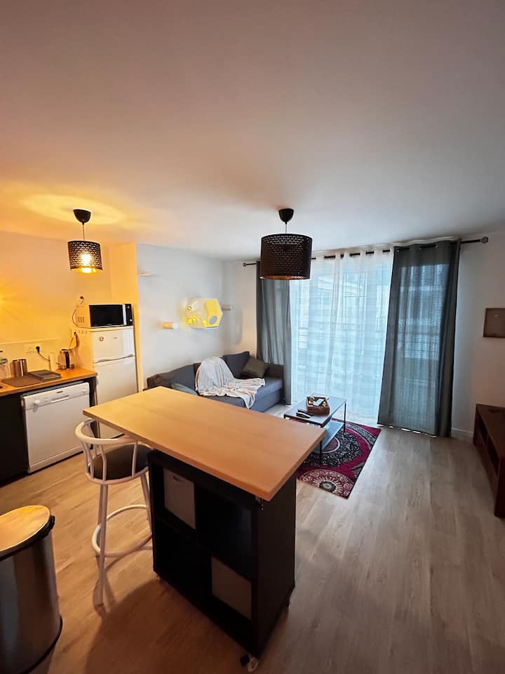 Appartement Cosy à Deux Pas De Disney - Ozoir-la-Ferrière