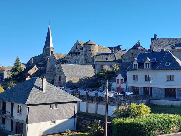 Appartement En Plein Cœur Du Massif Du Sancy - Chambon-sur-Lac