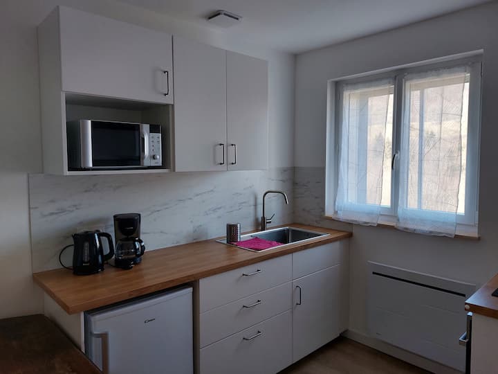Appartement En Plein Cœur Du Massif Du Sancy - Besse-et-Saint-Anastaise