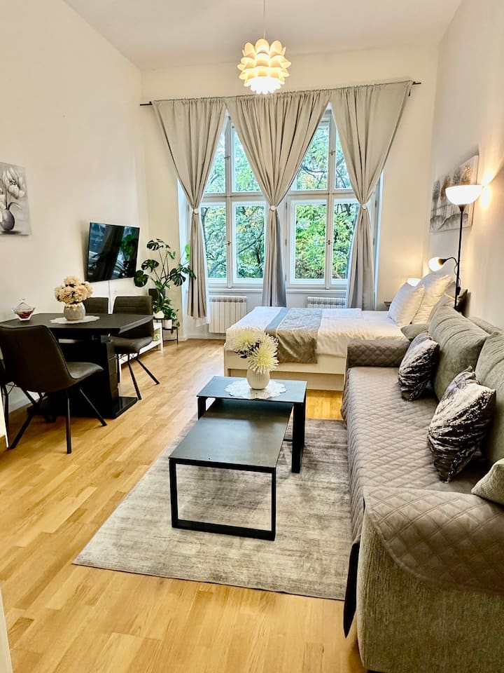 Cozy 2-room Central Apartment - Prag