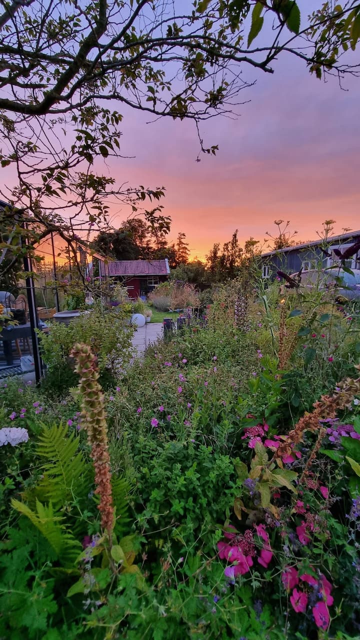 Sleepy Hideaway
Bed And Breakfast - Texel