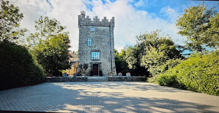 Castle 5-bed 6-bath On 7 Acres - Athlone
