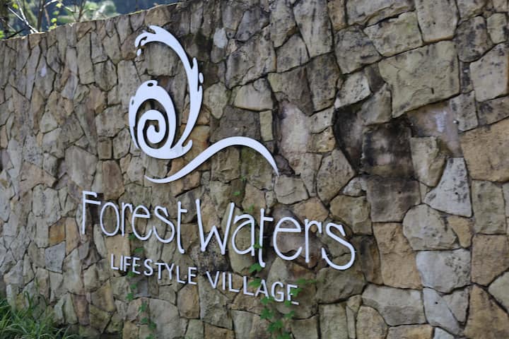 Forest - Riversend - Pietermaritzburg