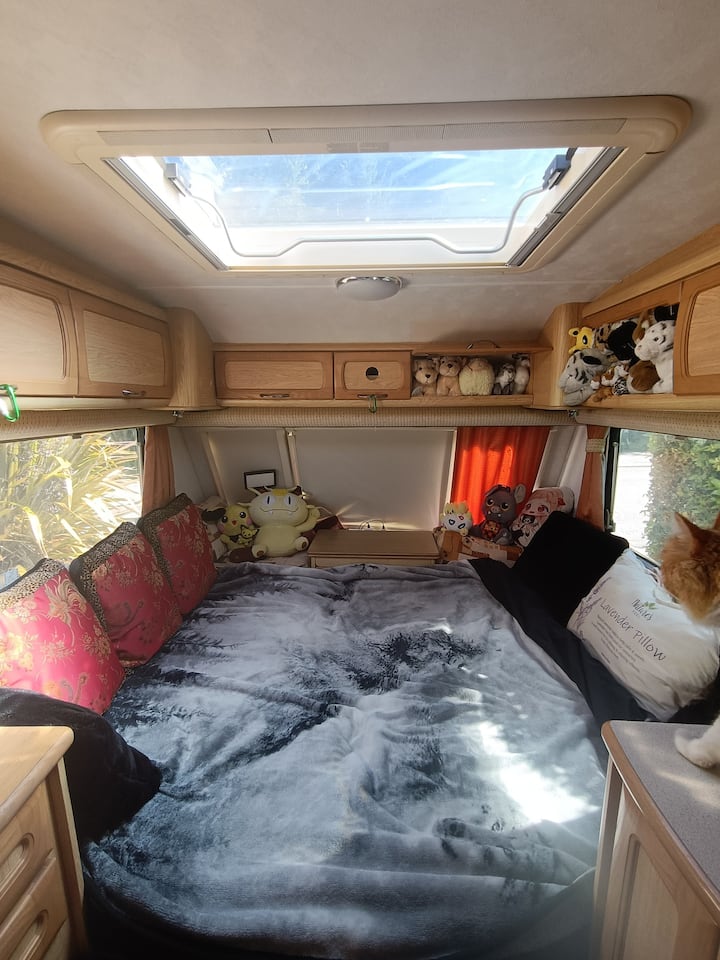 Camping In Comfort - 皇后鎮