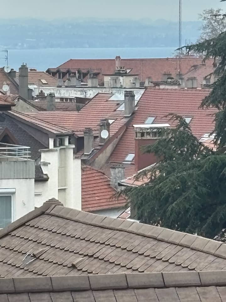 Appartement Centre-ville - Thonon-les-Bains