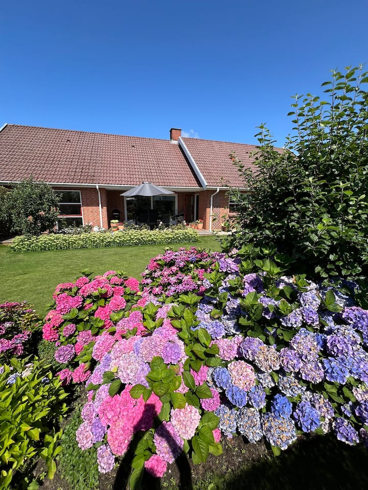 Hyggeligt Hus For Hele Familien - Esbjerg