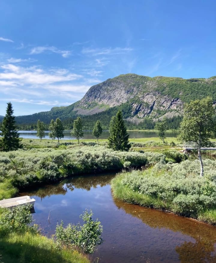Stor Og Komfortabel Hytte Med Badstue På Haglebu - Norway